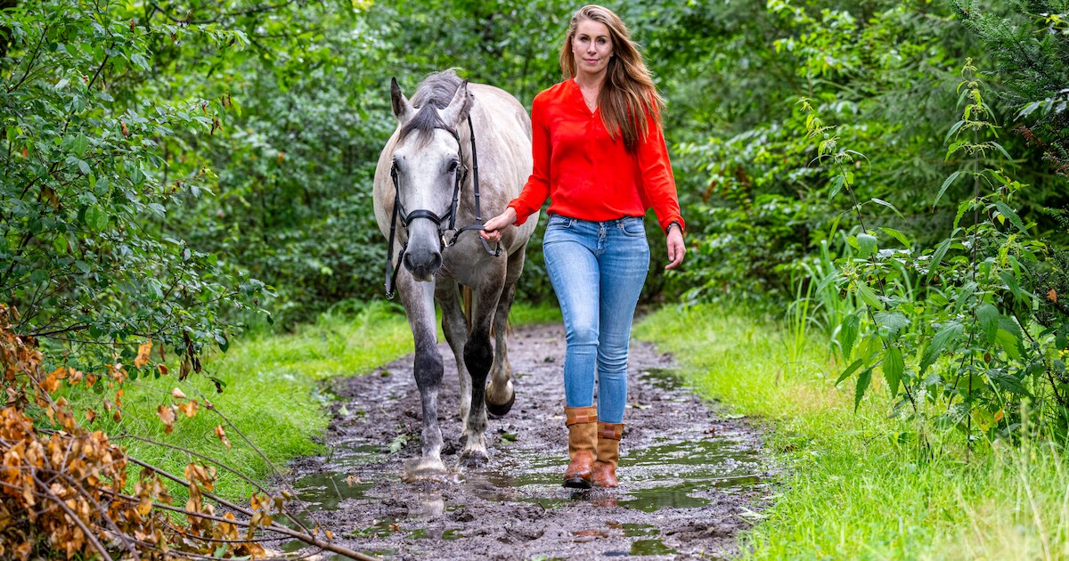 Maartje en haar paard werden opgejaagd door wolf in Den Treek: ‘Jongen ...