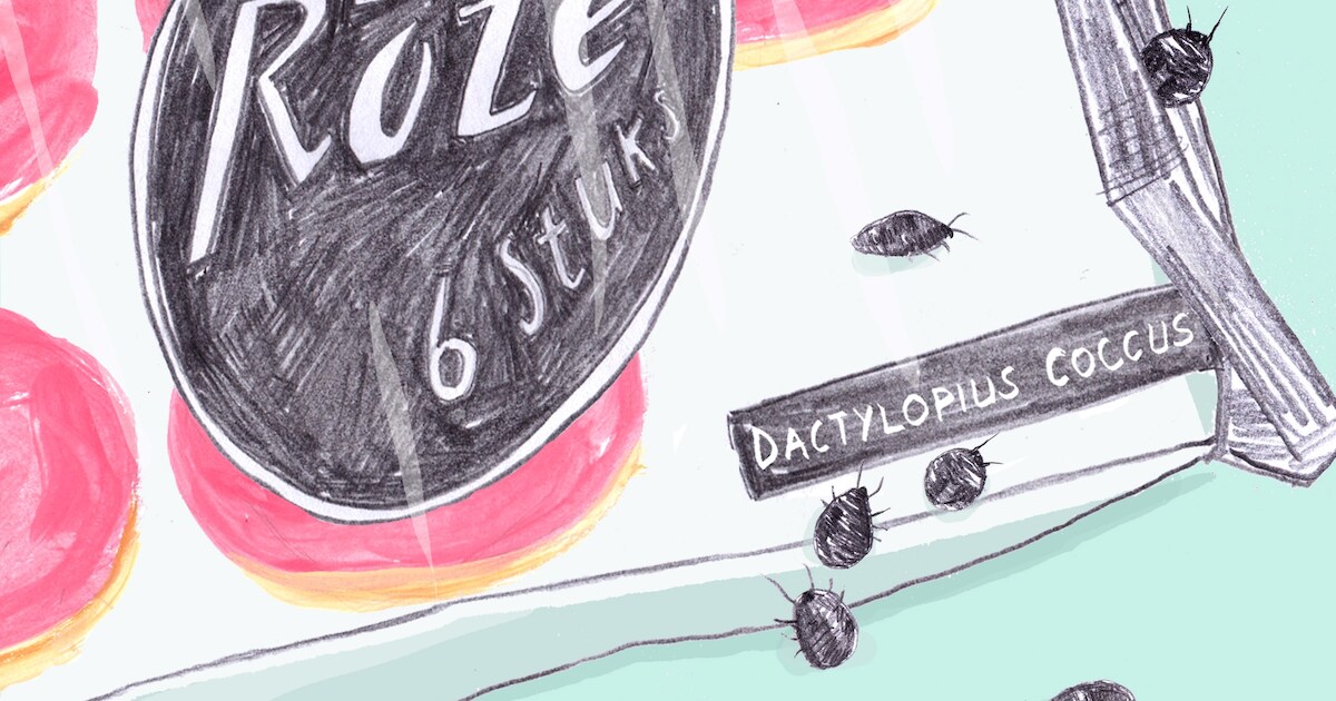 Luizen, visblaas en bevergeil dagelijkse kost in ons eten | Gezond | AD.nl