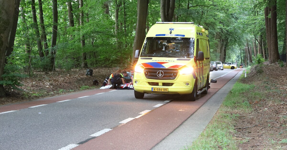Scooteraar gewond bij botsing tegen boom bij Hoenderloo | Apeldoorn | AD.nl