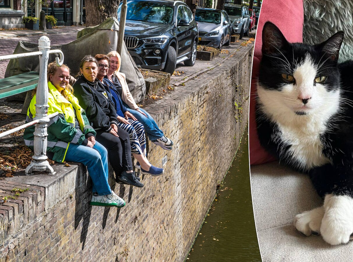 Bewoners komen in actie nadat katten verdrinken in grachten in Gouda ...