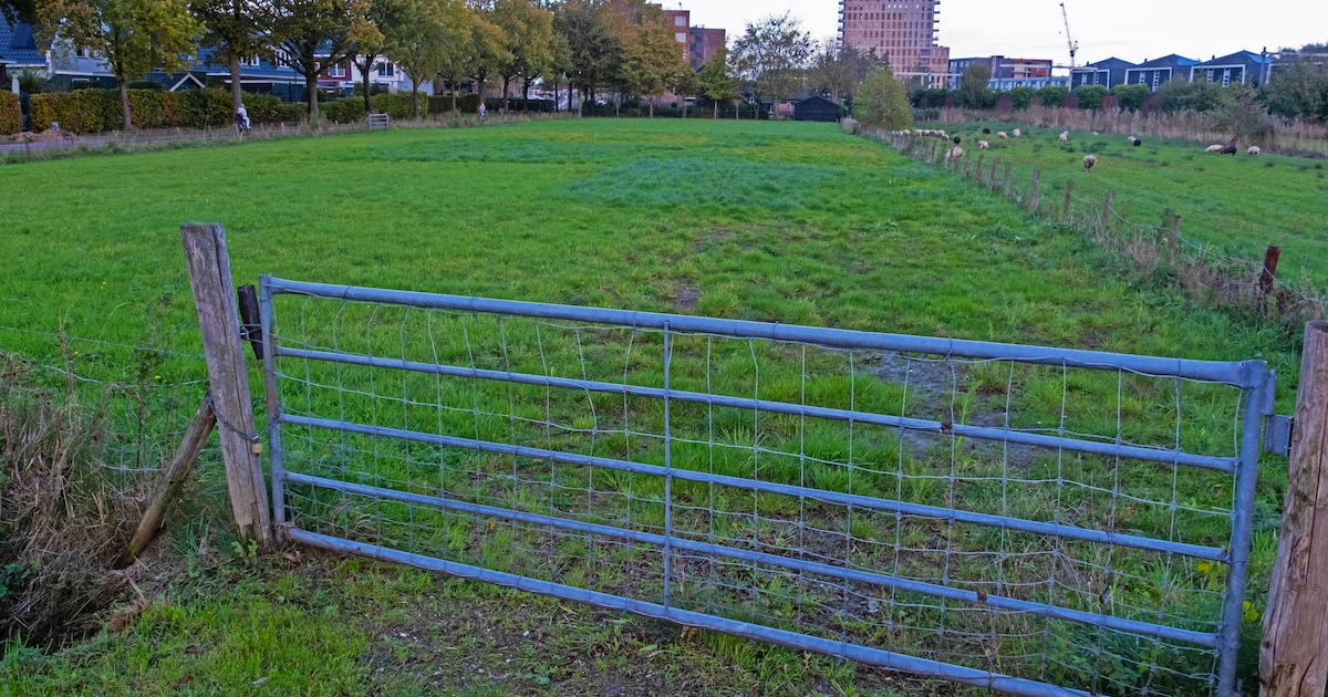 Vier plannen voor 175 nieuwe woningen in groen gebied tussen ...