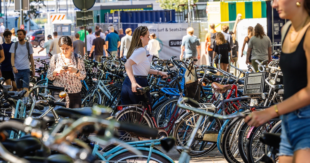 Zat plek in grootste stalling ter wereld, toch zetten veel mensen in ...