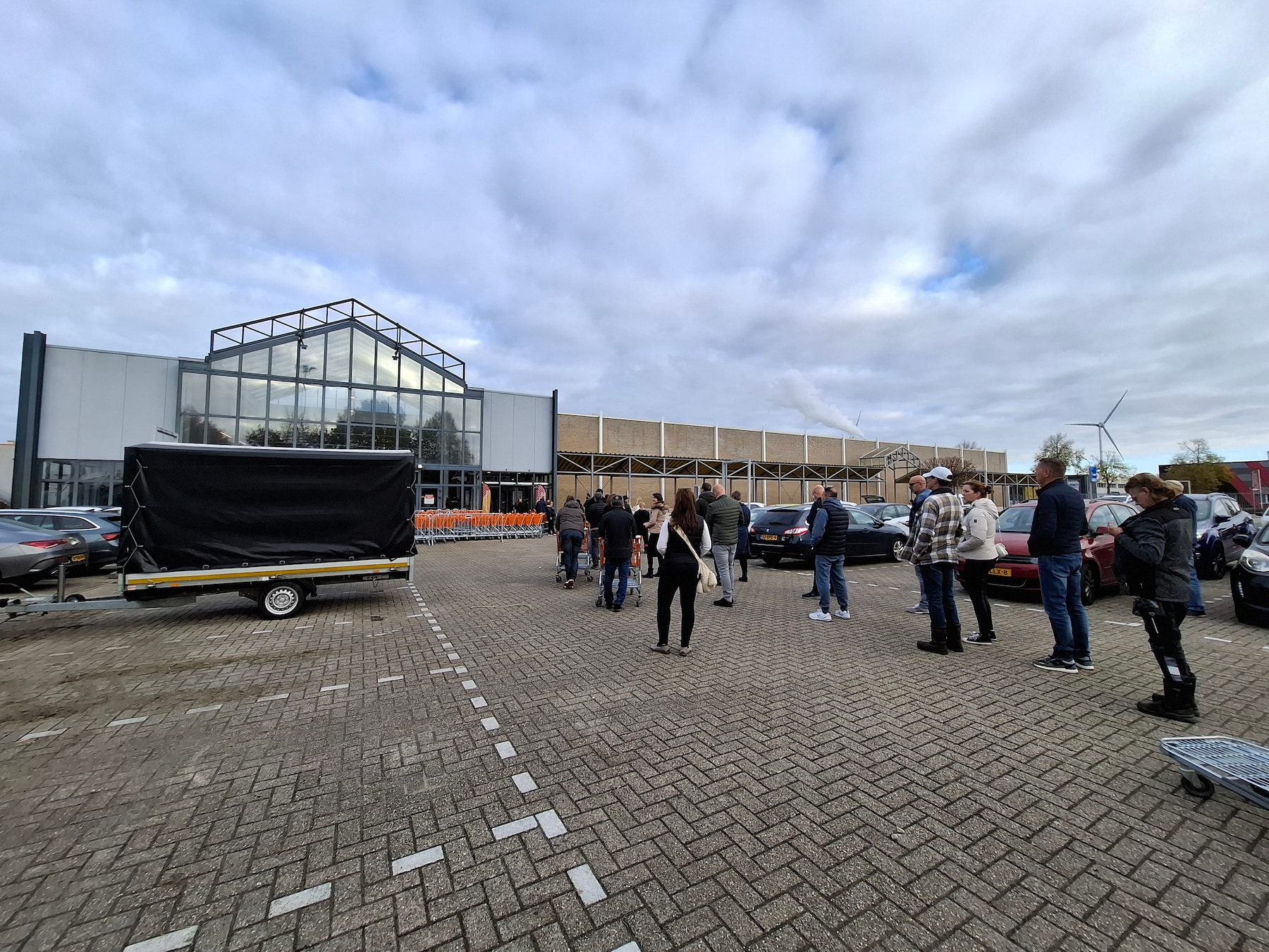 Afschieten wolf pas optie als er 56 roe­dels in Nederland zijn: ‘Wat ...