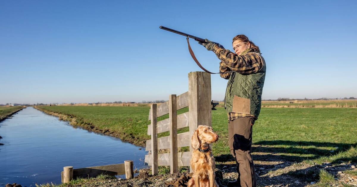 Statenlid Heidi Looy bedreigd, maar krijgt geen beveiliging: ‘Je kijkt ...