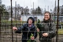 Zorgtuin vreest voor voortbestaan in Deventer: ‘Dit raakt ons in het ...