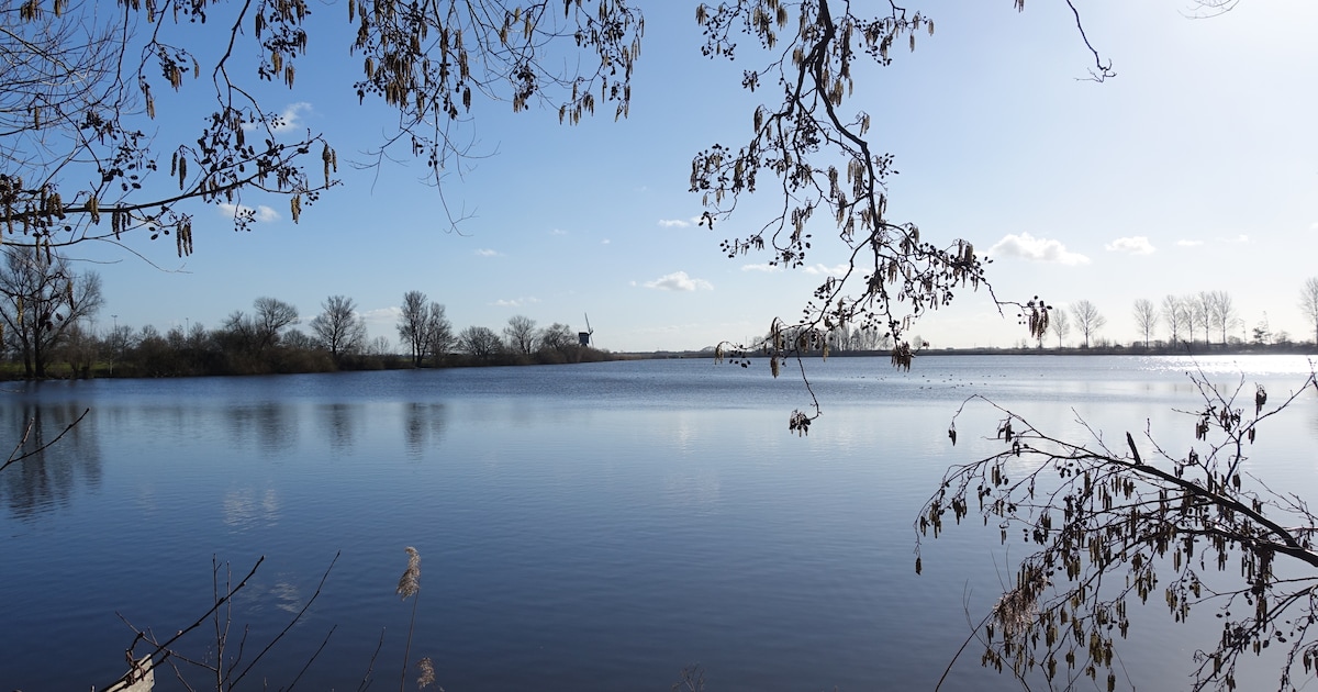 Waterschap koopt waterplas om extreme regen op te kunnen vangen ...