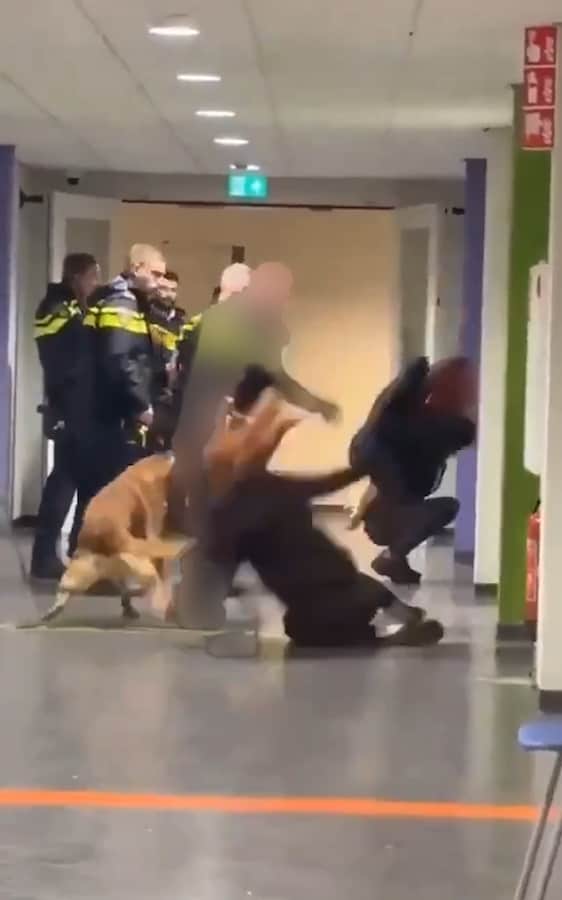 Vrouw die in azc Zeist op de grond werd gegooid door agent laat van ...