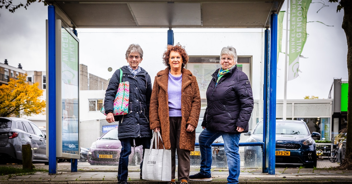 Rian (78) ernstig bezorgd over Drechthopper: ‘Zonder deze dienst raak ...