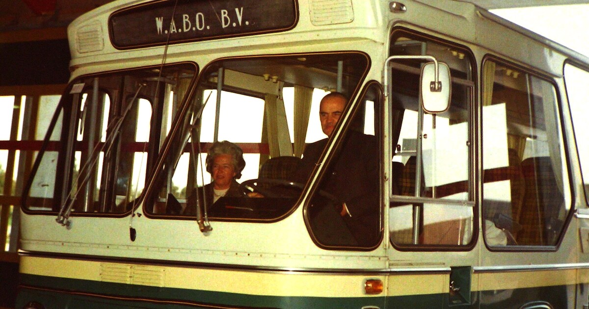 Busrit in een nostalgische WABO-bus herbeleven tussen Wijk bij ...
