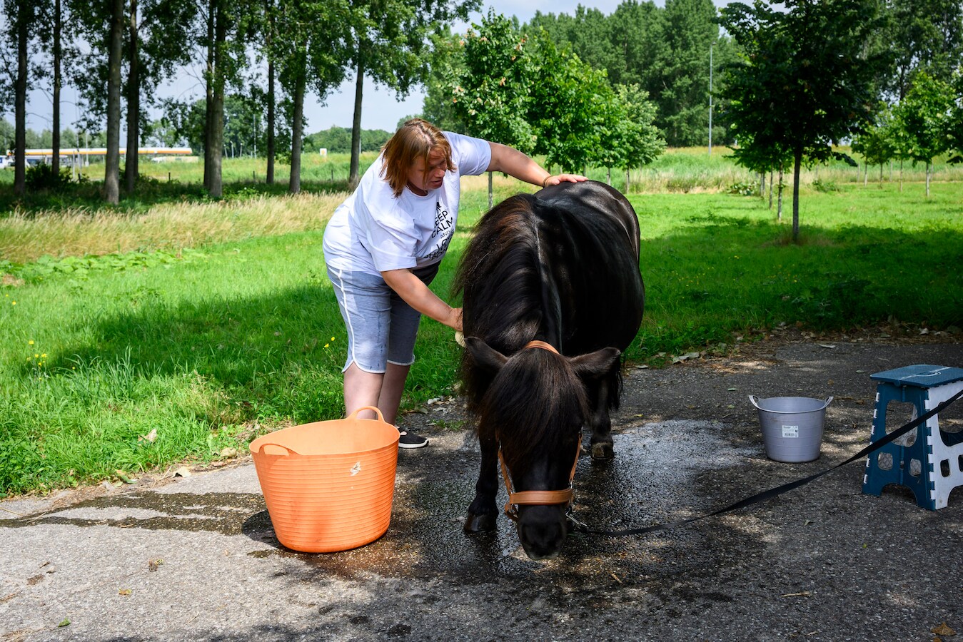 Astrid (43) gaat te paard naar hun geboortestad Dordrecht: ‘Ze betekent ...