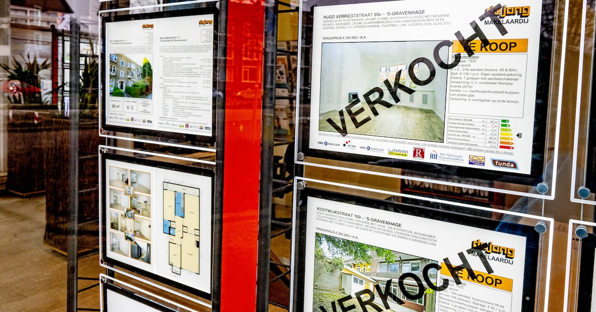 Honderden starters melden zich aan voor grote woonactie in Den Haag ...