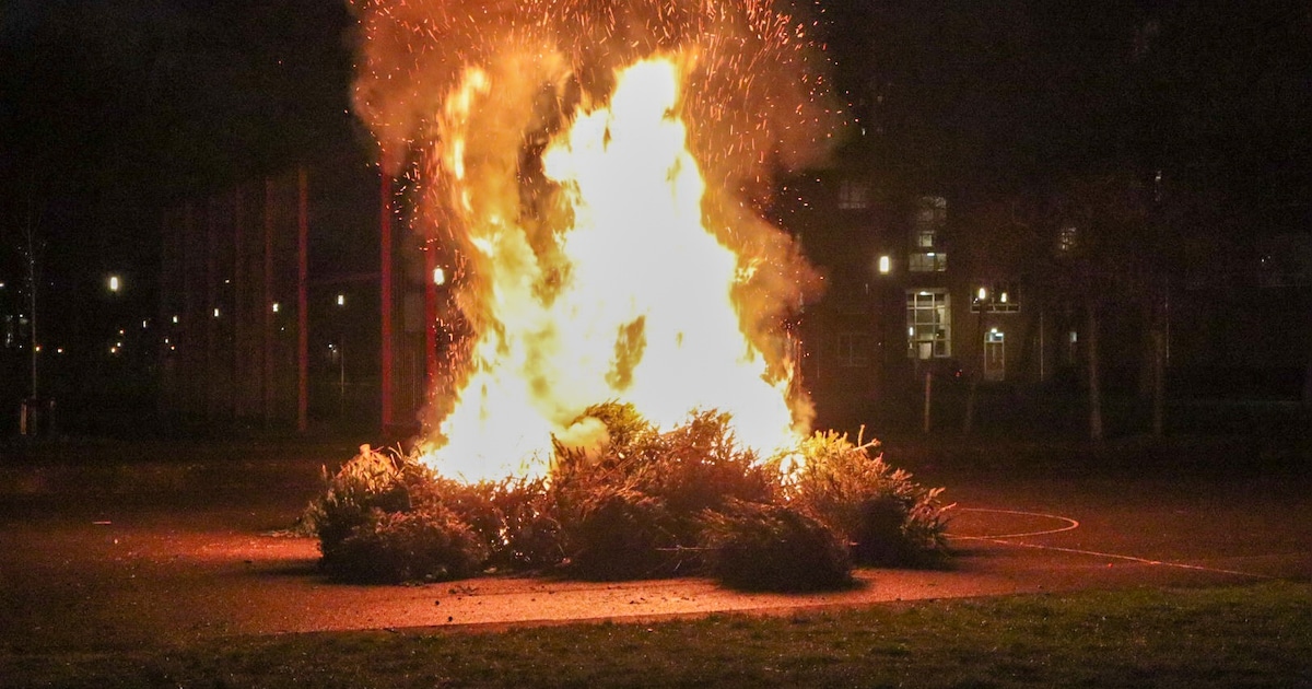 Stapel kerstbomen in brand gestoken op voetbalveld in Rotterdam | 112 ...