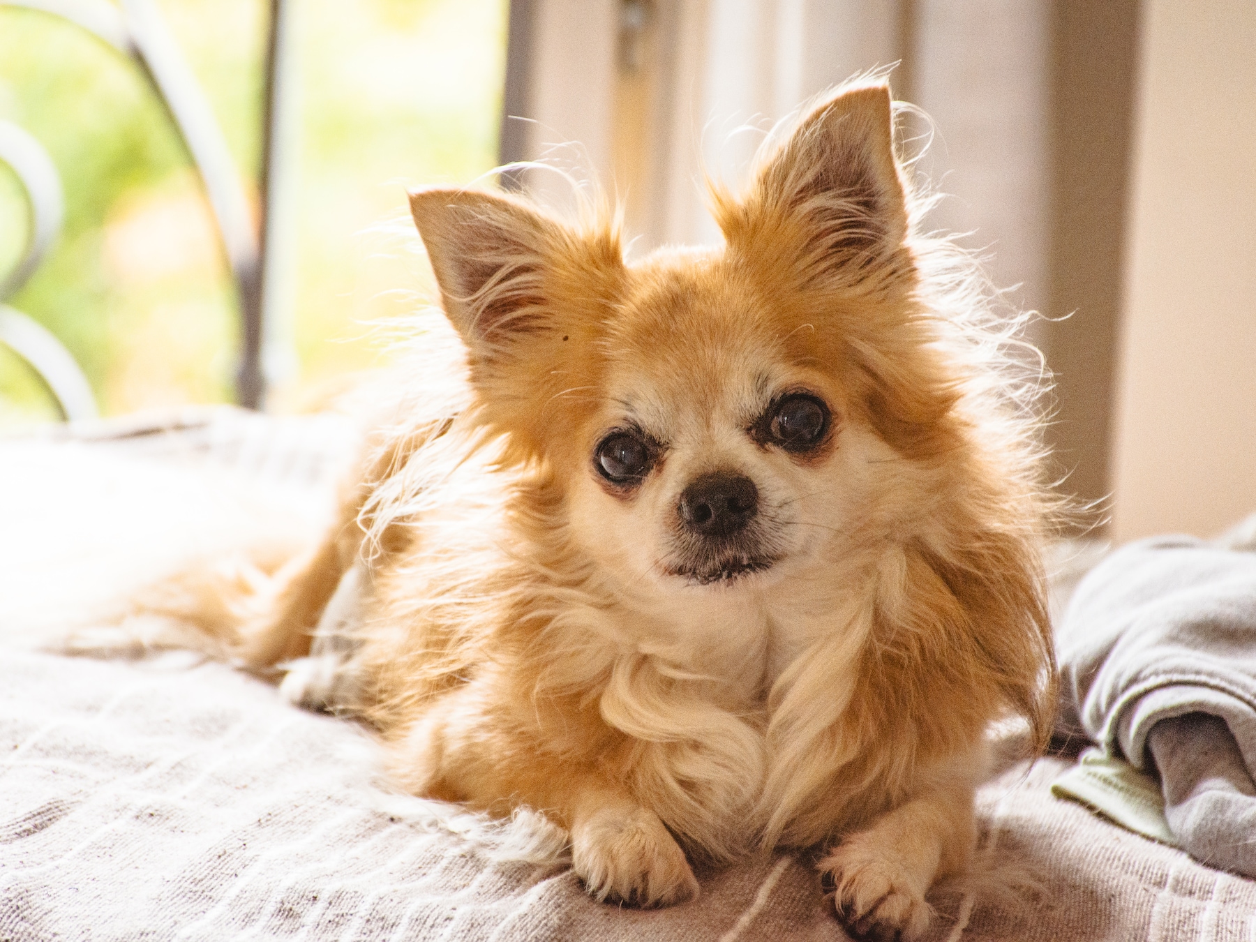 Opletten: deze wegafsluitingen in Zwolle zijn er in de week van 6 ...