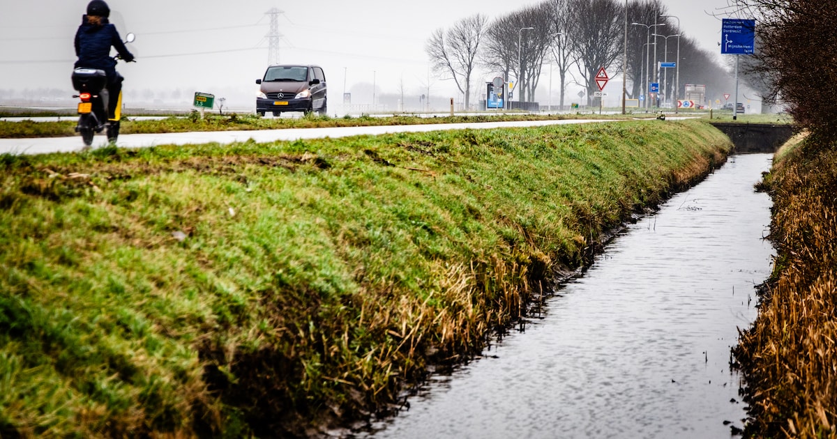 Twijfels rondom dood van Mogos, maar: ‘Verdrinken in een 30 centimeter ...