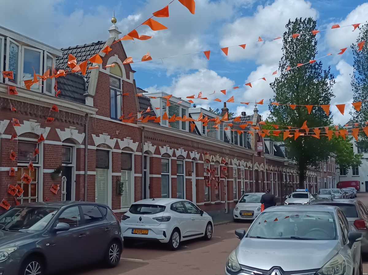 Welke straat in Vlaardingen kleurt het felst oranje? | Foto | AD.nl
