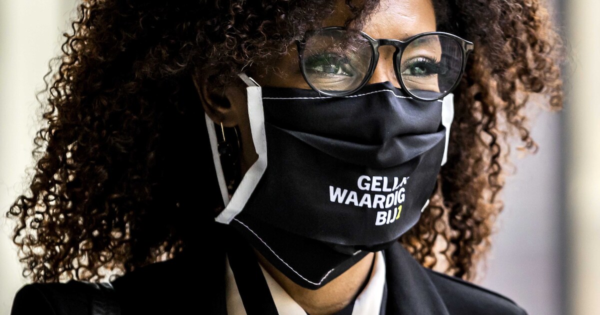 D66 grootste partij in meeste wijken, Denk, PVV en Bij1 scoren goed in ...