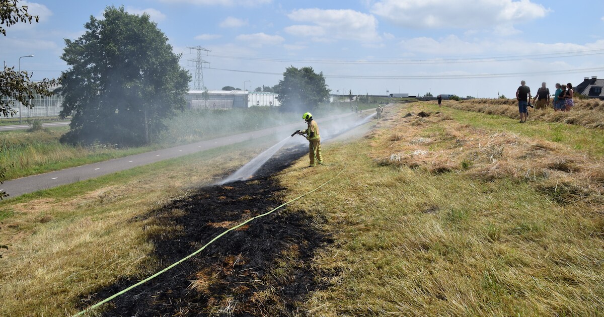 Tientallen meters berm in brand in Kwintsheul in Westland | Westland ...