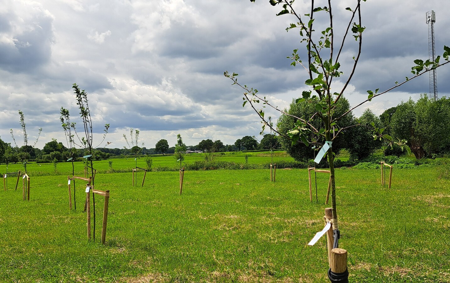 Appels en peren van zwaar vervuilde grond in Neede: ‘Is dat wel veilig ...
