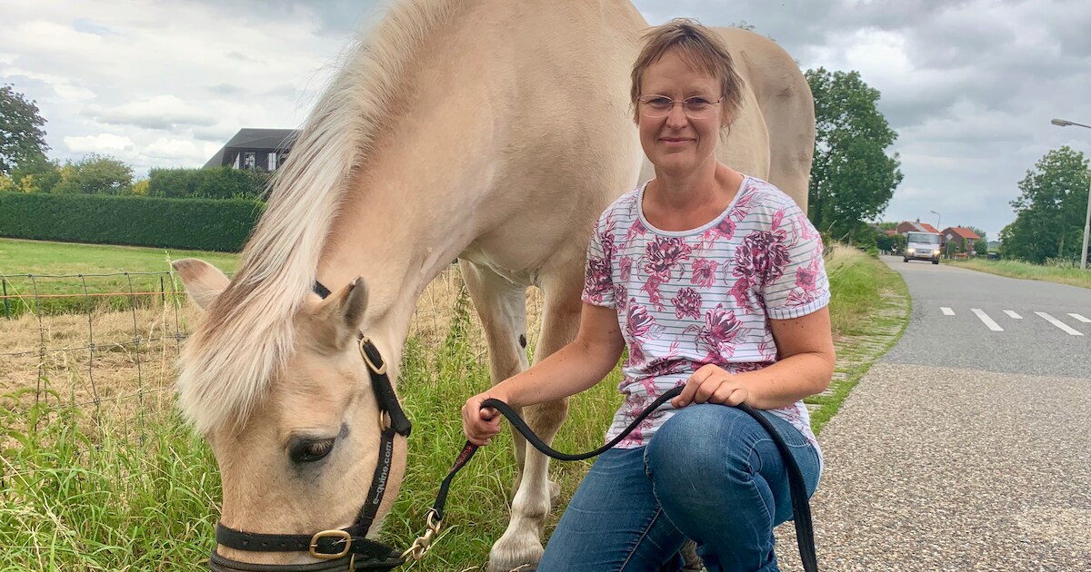 Brenda haalde haar Remco naar huis: ‘Kun je ook even een ...