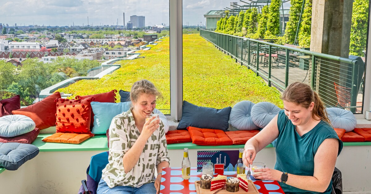 Rotterdammers gaan het dak op: ‘Het is een goede afwisseling met wat er ...