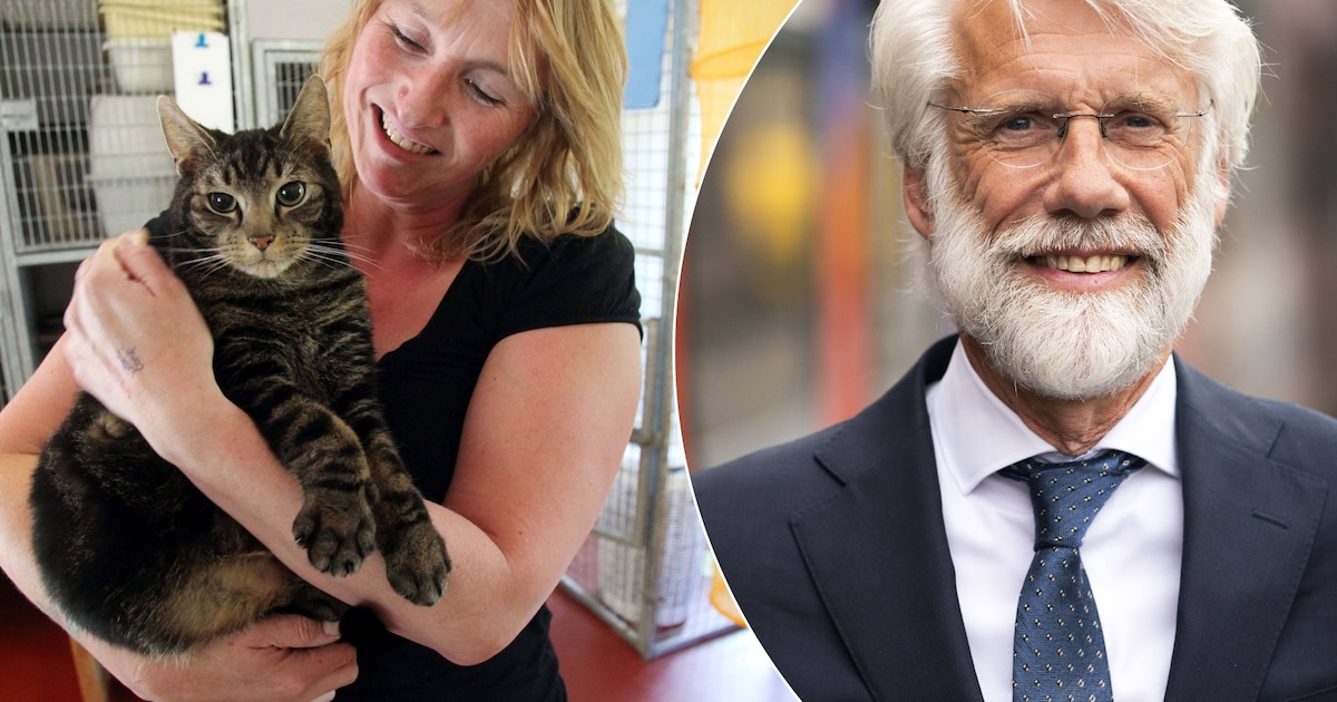 Kattenverzorgster wint radiospel na herkennen stem Erik Scherder ...