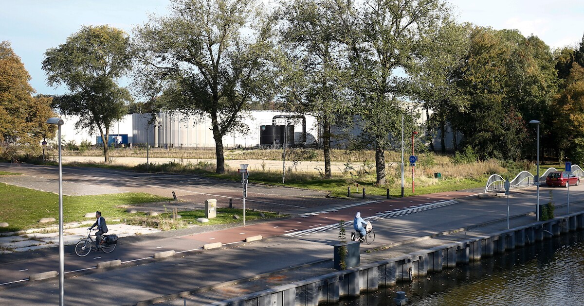 Opinie: Prostitutiezone het Nieuwe Zandpad Overvecht geeft geen ...