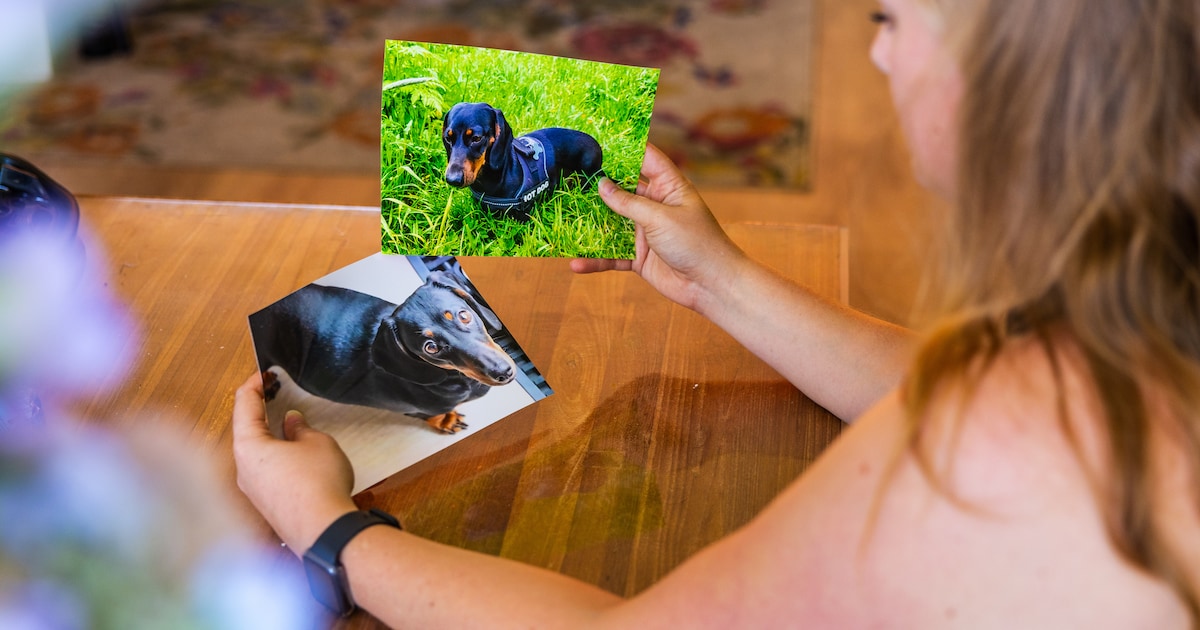 Hoge dierenartskosten dwingen Anne-Fleur (29) tot emotioneel afscheid ...