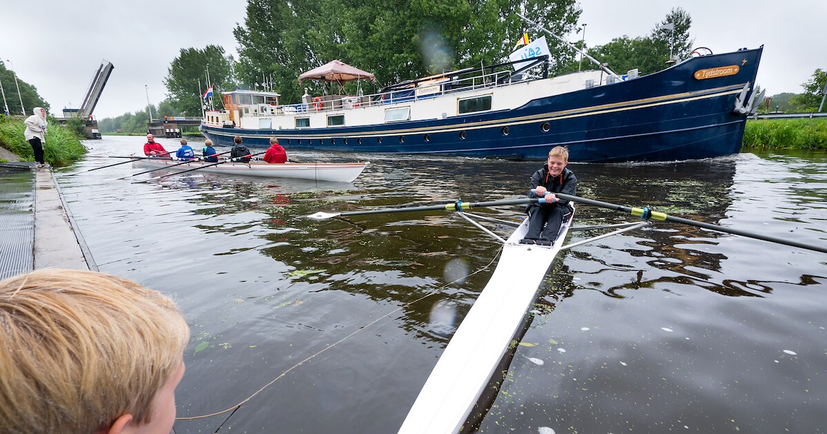 Roeiers die op een vrachtschip botsen: het wordt steeds drukker op het ...