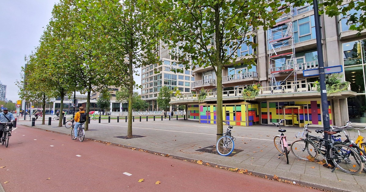Albert Heijn opent vestiging met twee verdiepingen in Groot ...