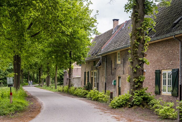 Dit zijn de mooiste wandelingen in het nieuwe Van Gogh Nationaal Park ...