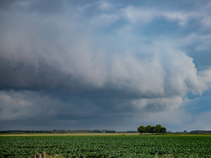 Praat mee: code geel, een fijne waarschuwing of onnodig? | Praat mee | AD.nl