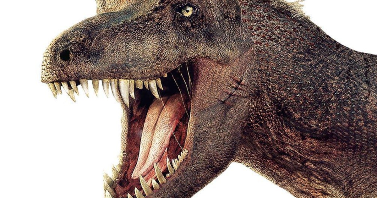 T. rex Trix voor iedereen te zien in Naturalis | Binnenland | AD.nl