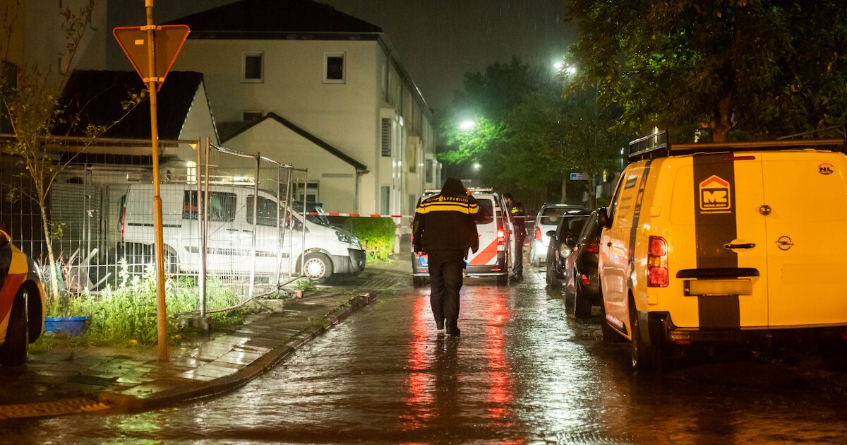 Overvaller slaat hulpbehoevende zeventiger met ijzeren pijp: ‘Als je zo ...