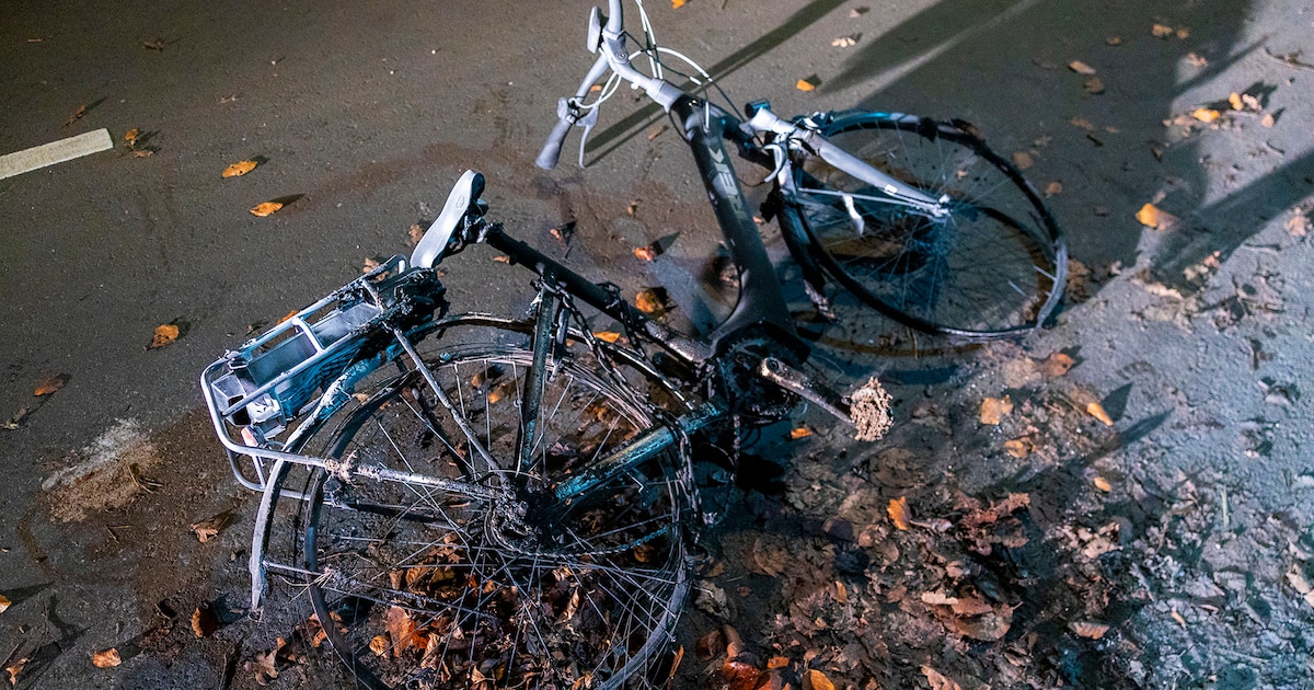 Waarom je je fietsaccu nooit 's nachts moet opladen | Auto | AD.nl