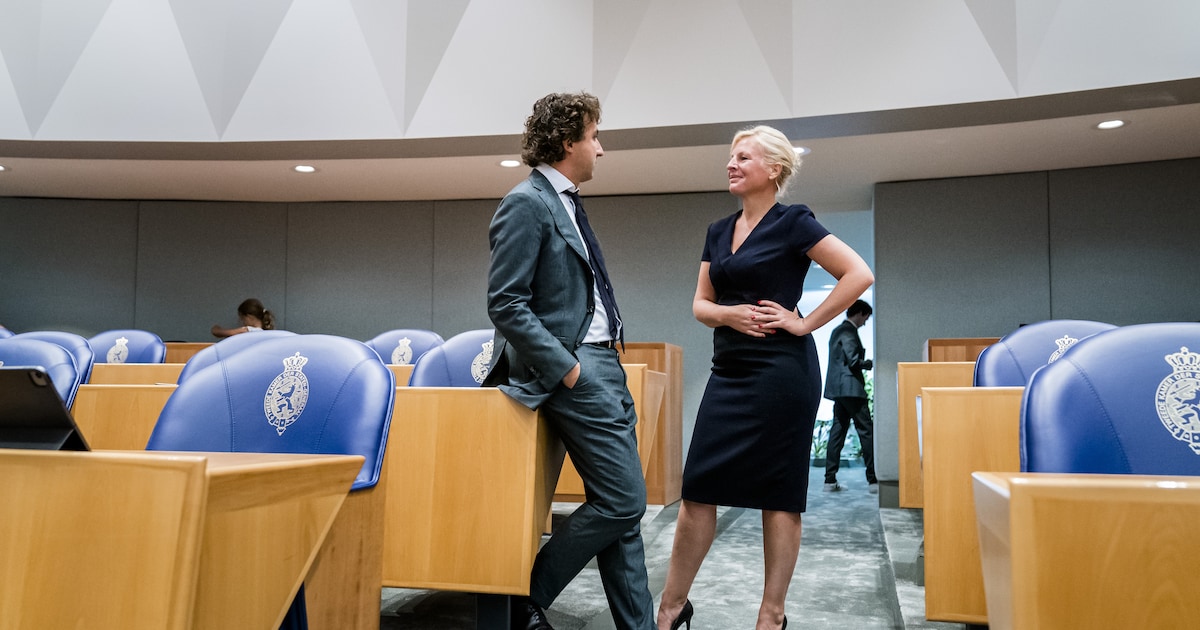 Klaver wil blok met PvdA en lanceert ‘onbeschaamde’ agenda: alle huur ...