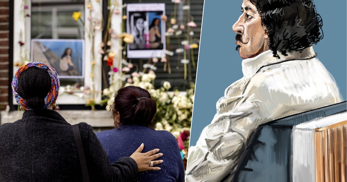 Fouad L. voelde ‘koele woede als een roofdier’, maar geen levenslang ...