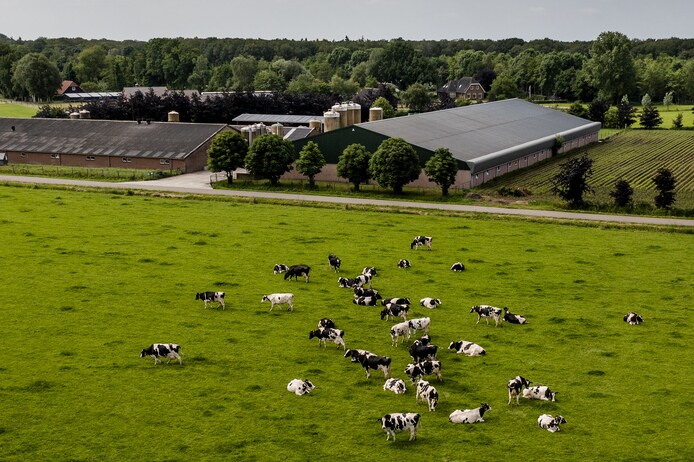 Hoe ziet Groot-Rijnmond er in 2060 uit? Scenario Planbureau: 119 ...