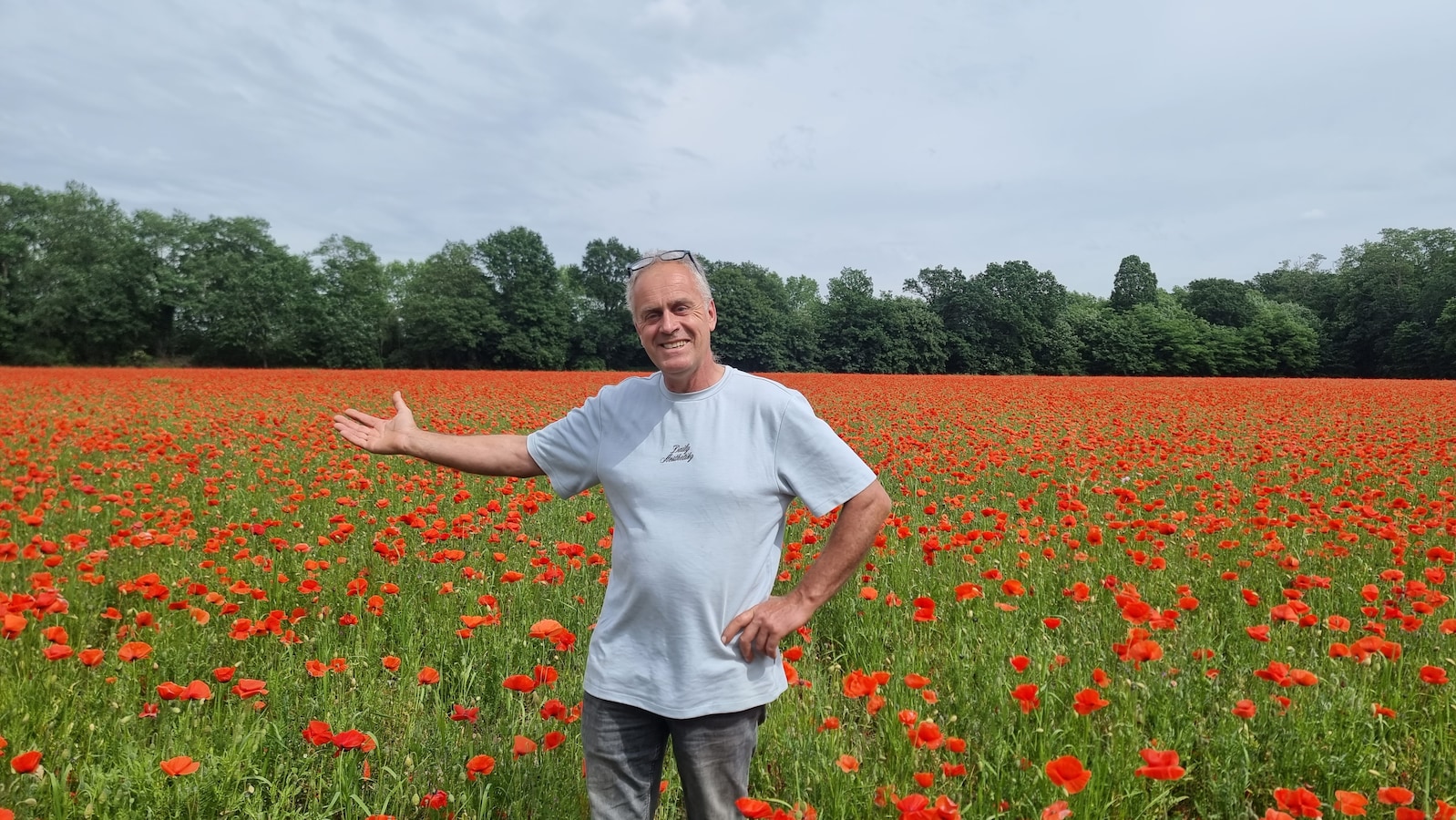 Boer Frank zaait gras, maar krijgt 85.000 vierkante meter klaprozen ...