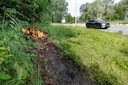 Deskundigen snoeihard na dodelijk ongeval met boom in Boxtel: ‘Op ...