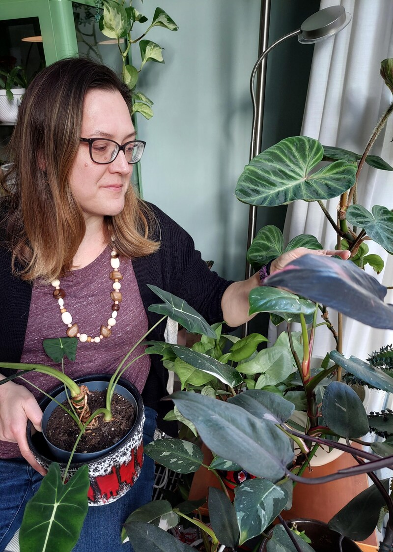 Christy heeft een milde kamerplantenobsessie: ‘Heb ik genoeg planten ...