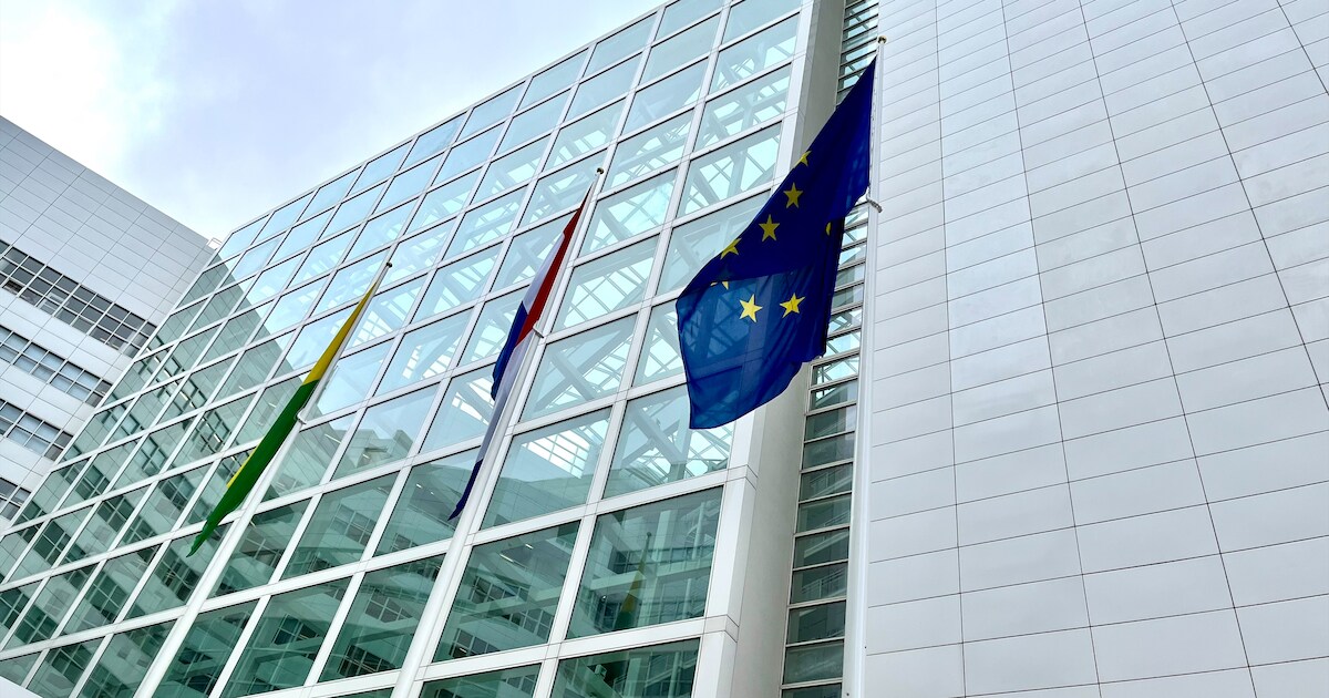 Europese vlag wappert permanent tegenover stadhuis Den Haag | Den Haag ...
