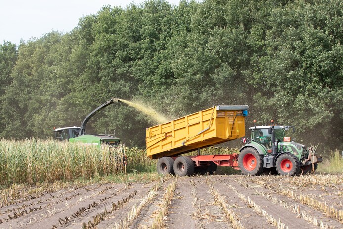 Desnoods laatste boeren hun land afpakken voor natte natuur: ‘Maar ik ...