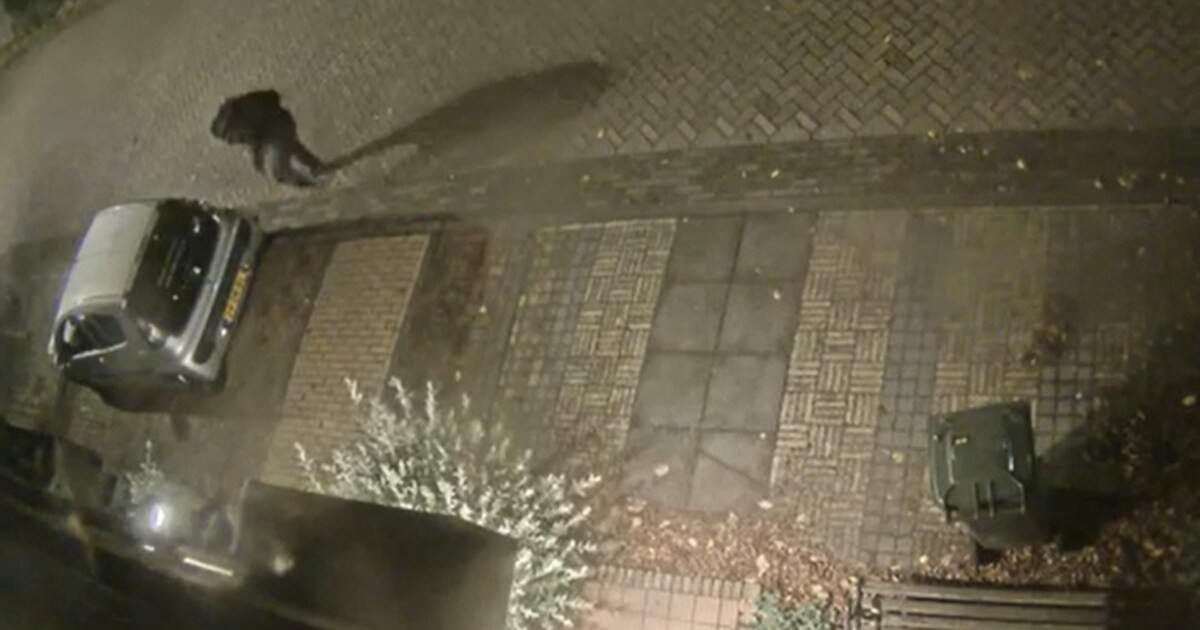 Beweegredenen van Capelse bandenprikker blijven een mysterie: ‘Hij ...