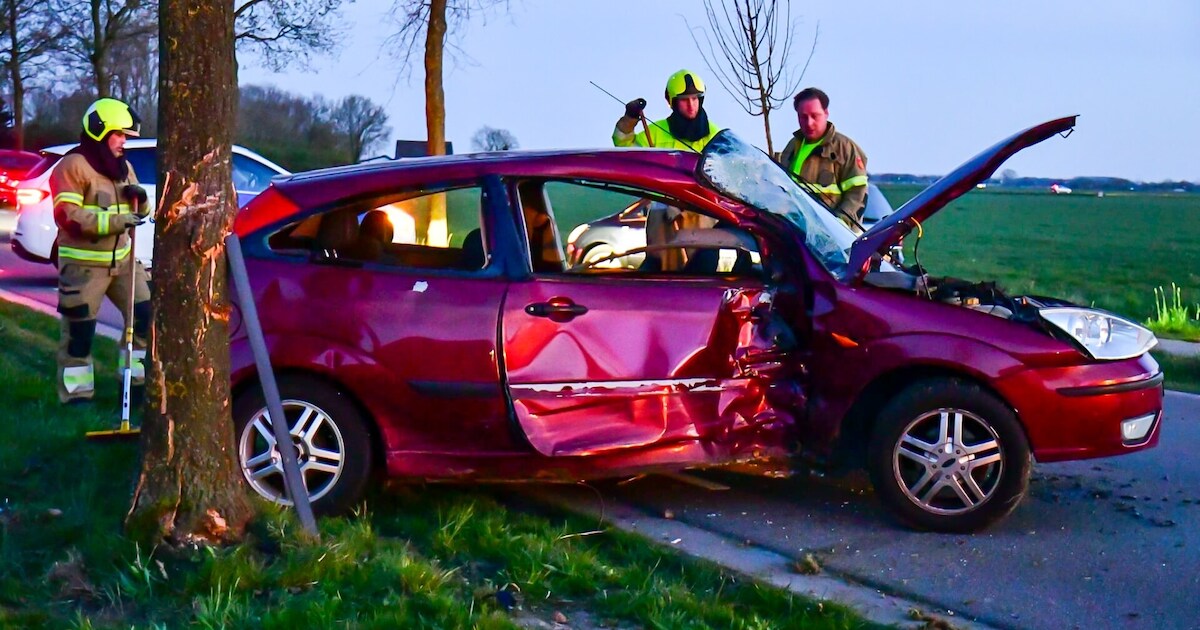 Auto raakt van de weg en botst tegen boom in Oijen, voertuig flink beschadigd | Oss | AD.nl