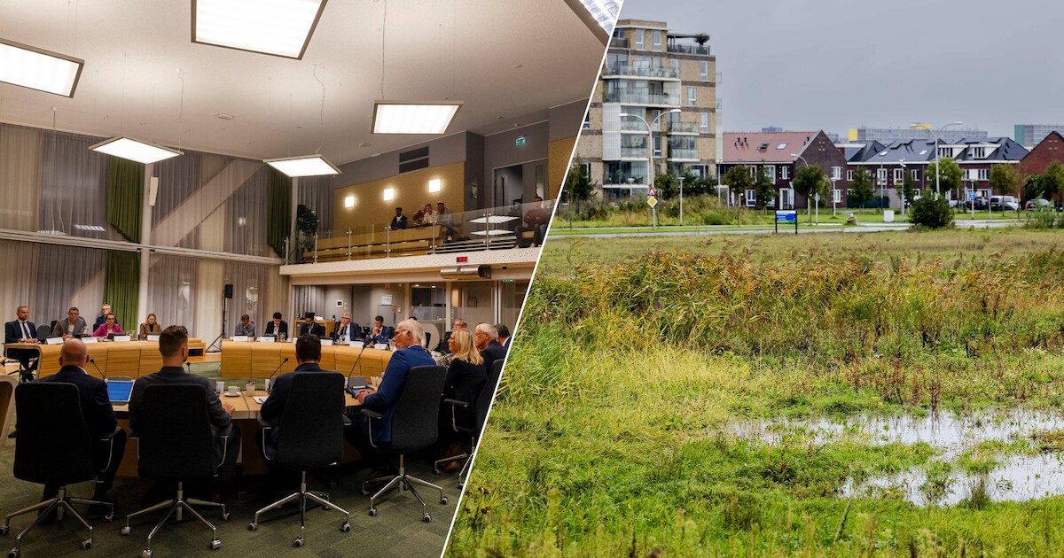 Politieke crisis in Den Hoorn: coalitie gevallen vanwege komst ...