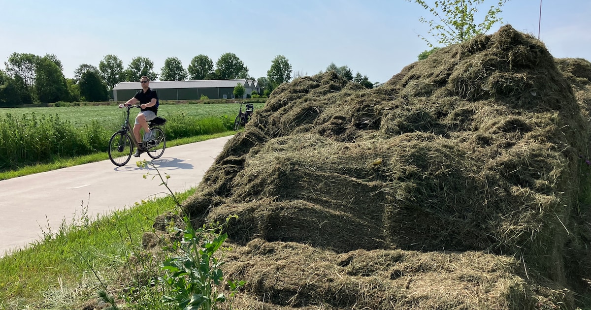 Dorpsbewoners zaaiden bloemen in de berm, maar kregen er een meurende ...