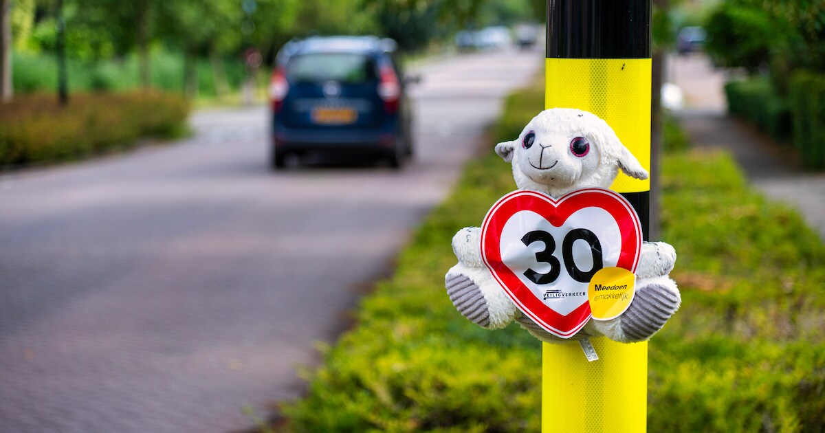 Knuffels als ludiek protest tegen asociaal gedrag in het verkeer ...