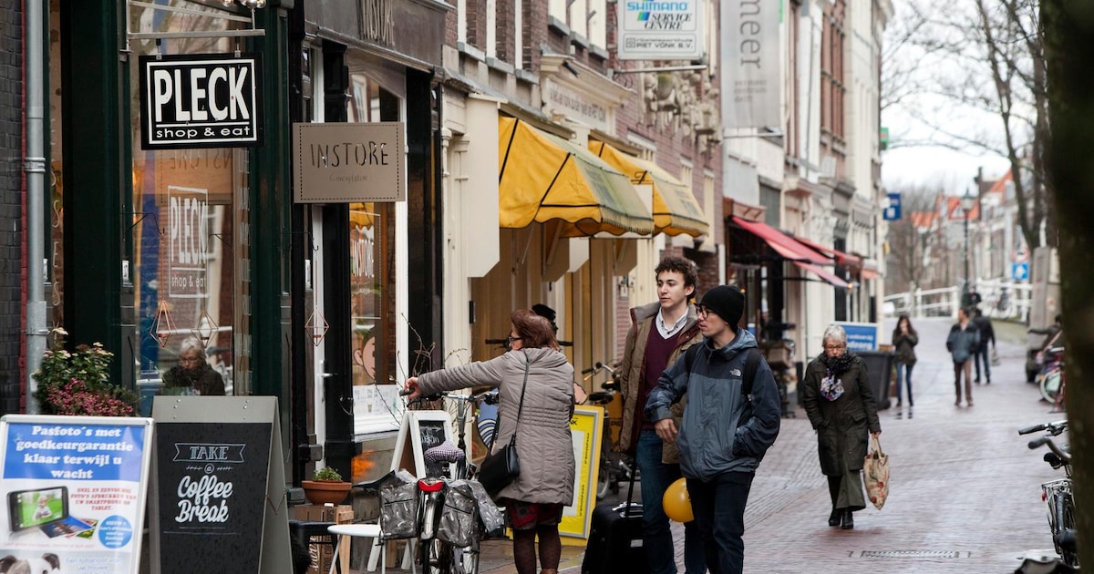 Leegstand Delftse winkels in vijf jaar tijd enorm gedaald | Delft | AD.nl