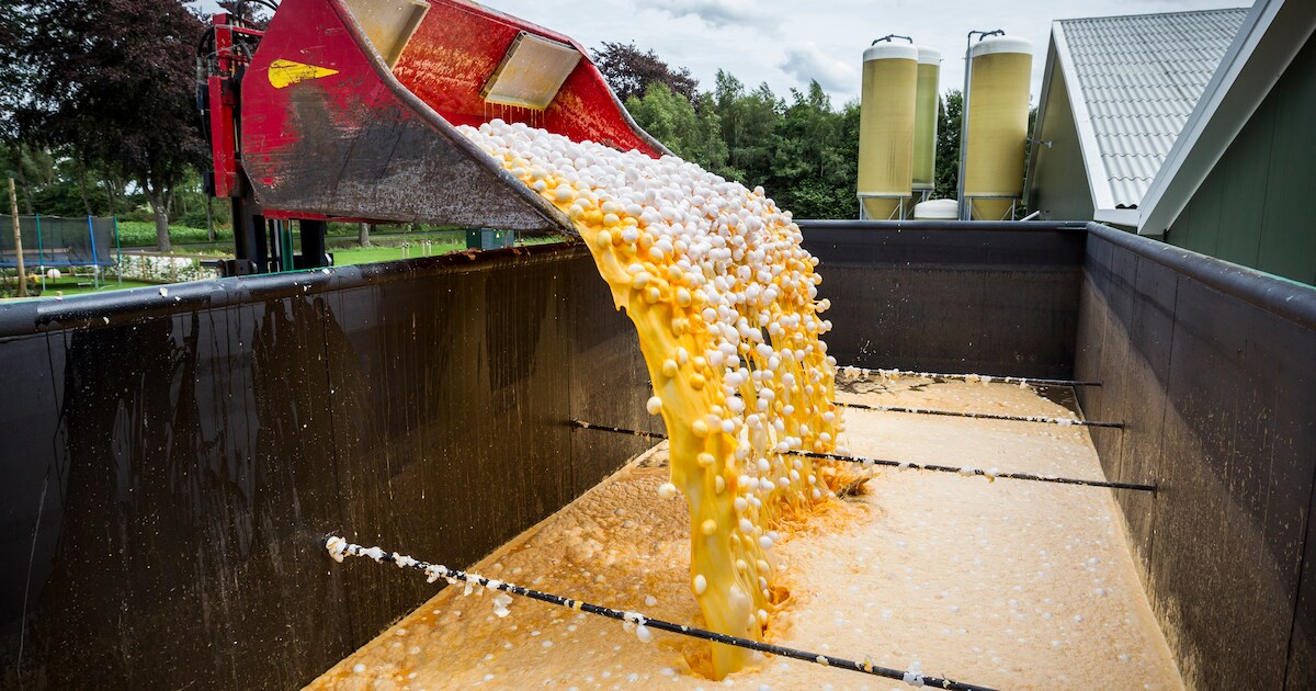 Pluimveesector in hoger beroep in fipronilzaak | Binnenland | AD.nl