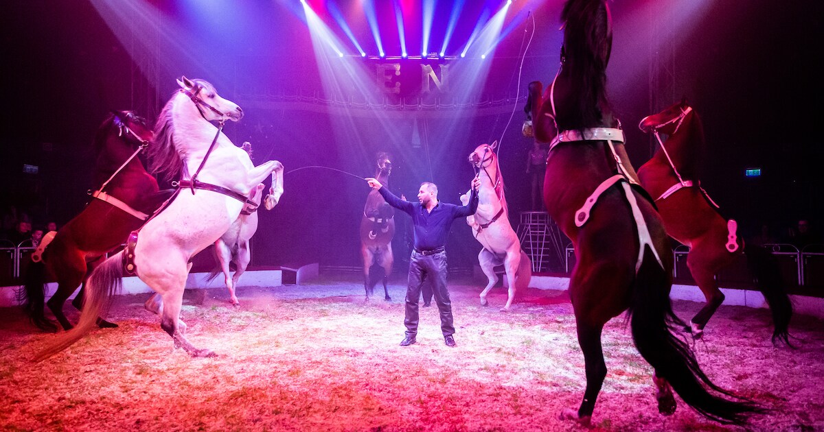 Circus Renz is in Gemert: ook het traditionele circus gaat met zijn ...